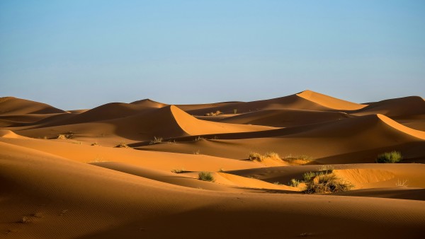 Desert Brown Sand Nature Dune - HD Wallpapers