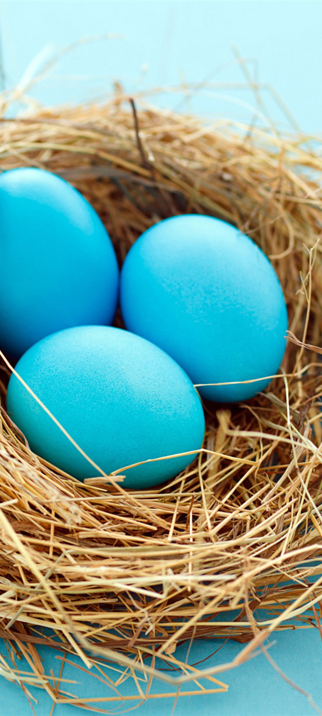 Cyan Blue Eggs Wallpaper - 1080x2400