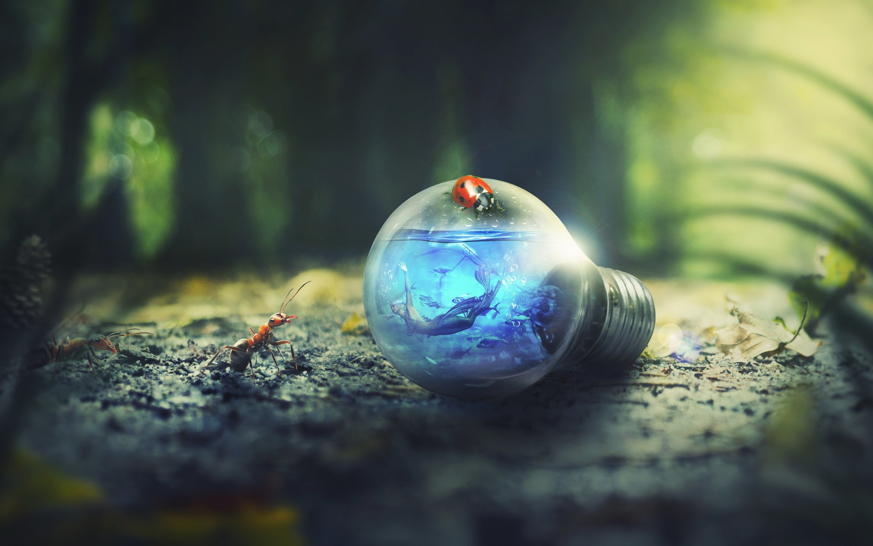 Fantasy Light Bulb Mermaid Art Wallpaper - 2880x1800 Resolution
