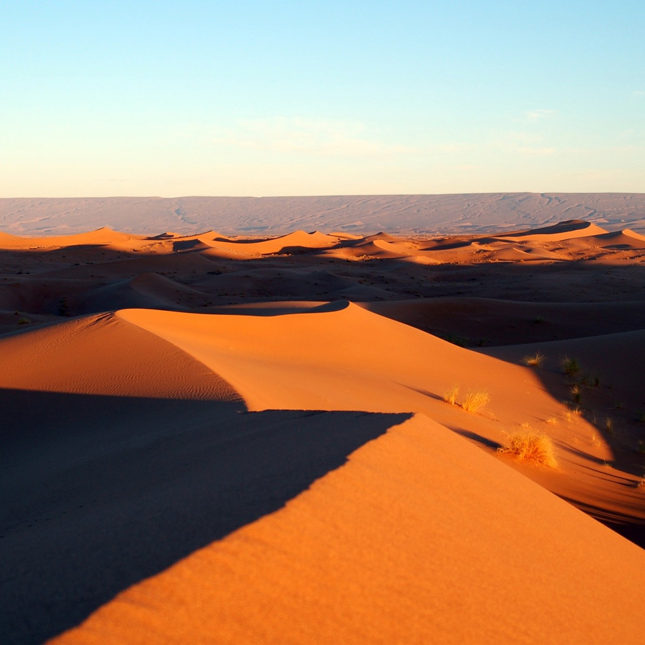 Morocco Africa Desert Sunrise Wallpaper - 1280x1280