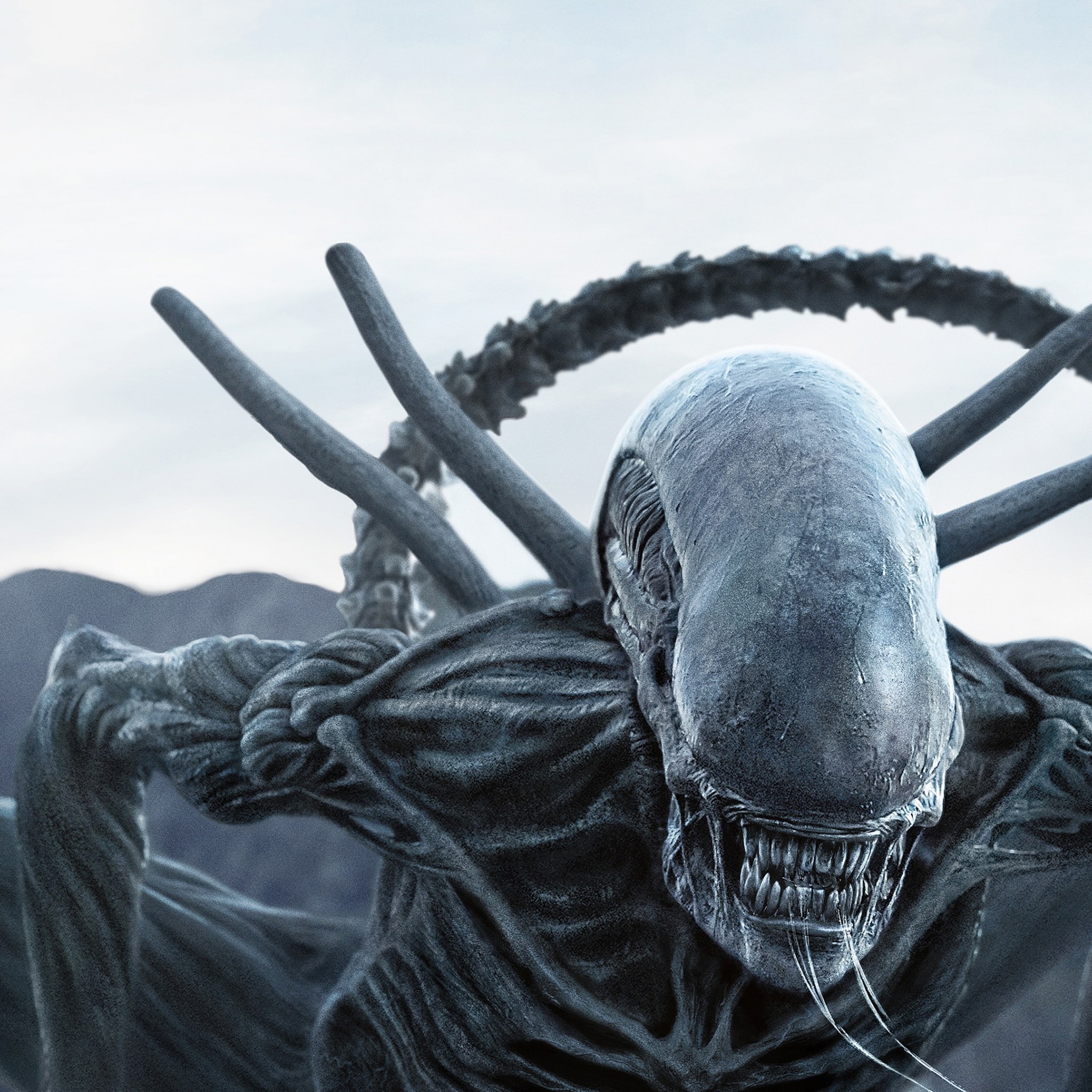 Alien Covenant Xenomorph Movie Wallpaper - 2048x2048