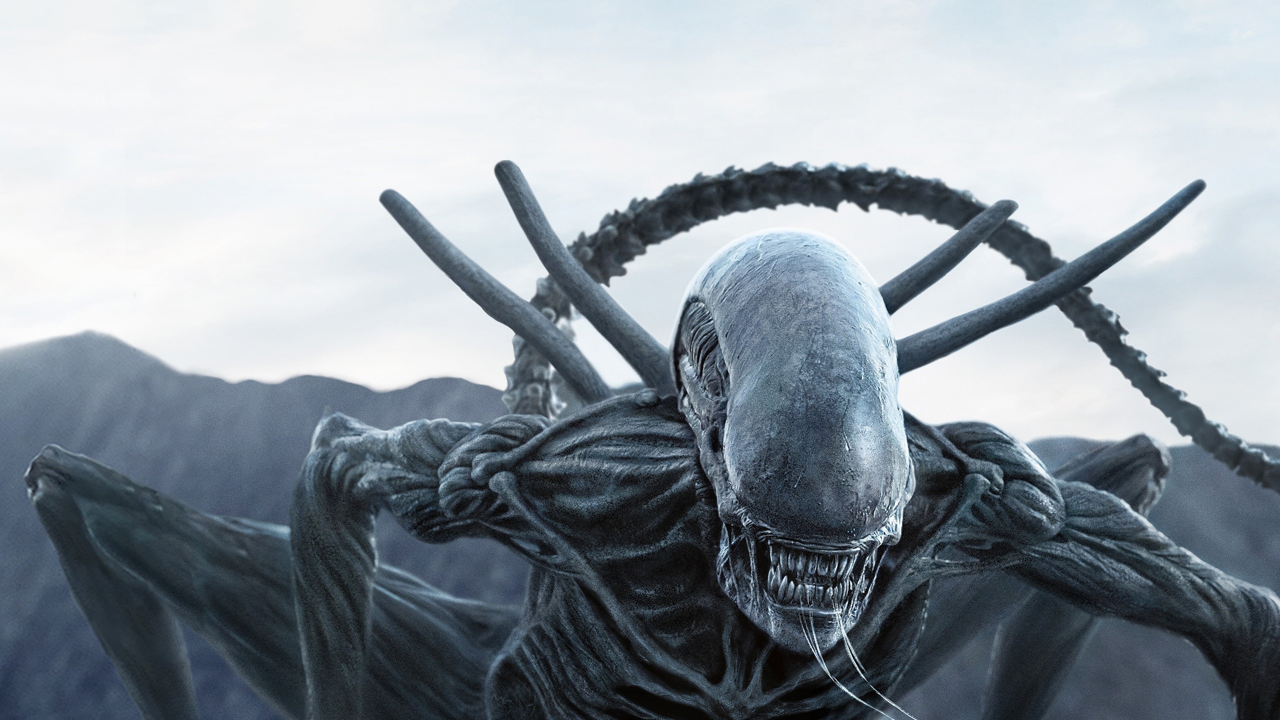 Alien Covenant Xenomorph Movie Wallpaper - 2560x1440