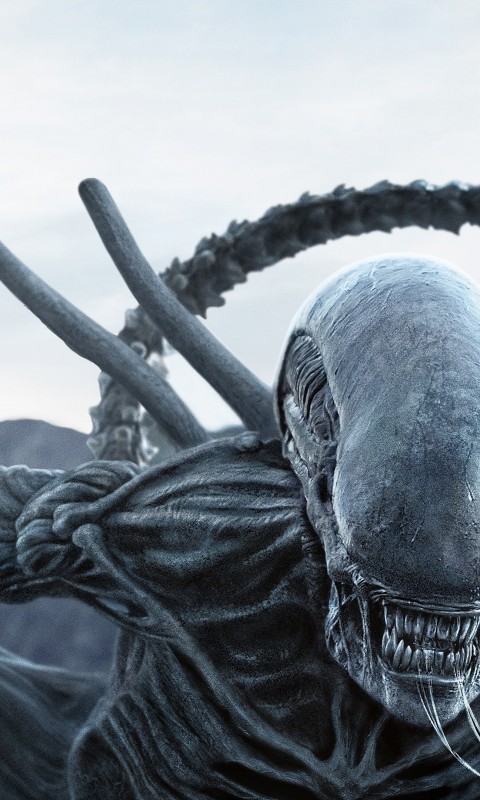 Alien Covenant Xenomorph Movie Wallpaper - 480x800