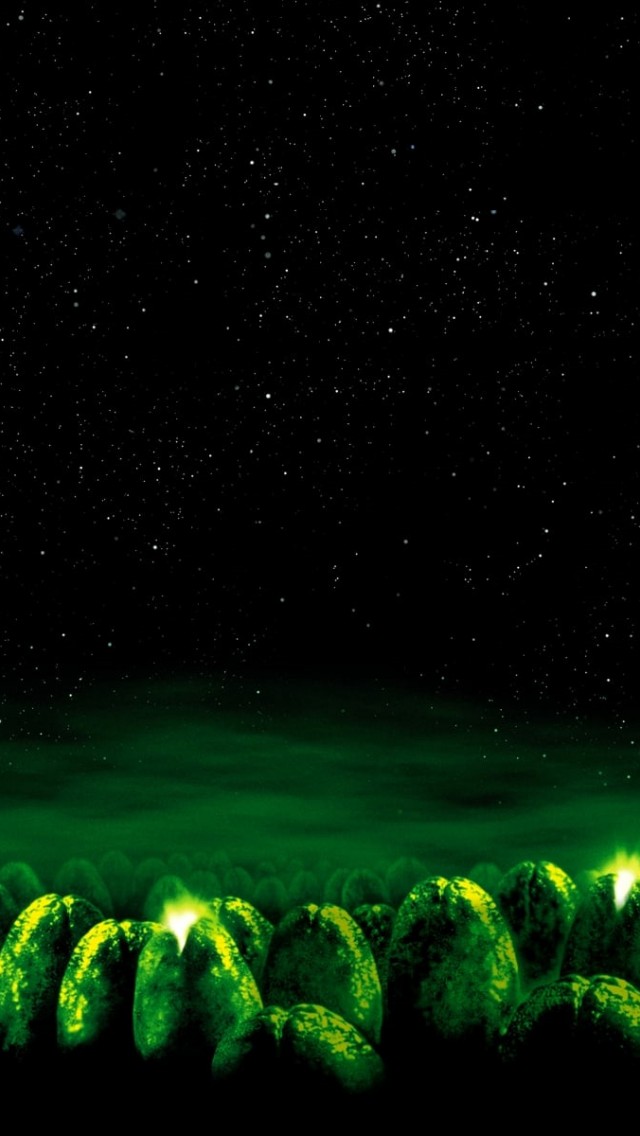 Green Xenomorph Alien Eggs Wallpaper - 640x1136 Resolution