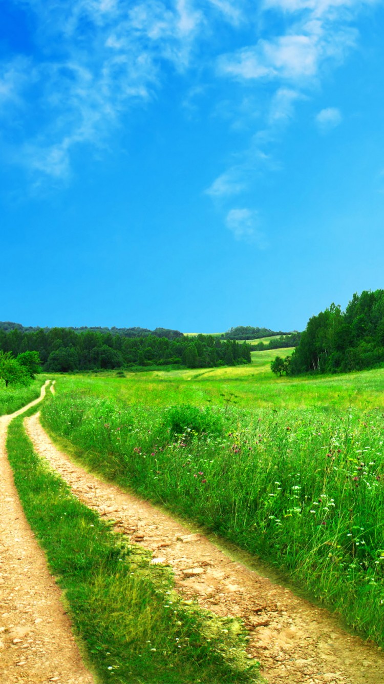 Green Grass Field Country Road Wallpaper - 750x1334