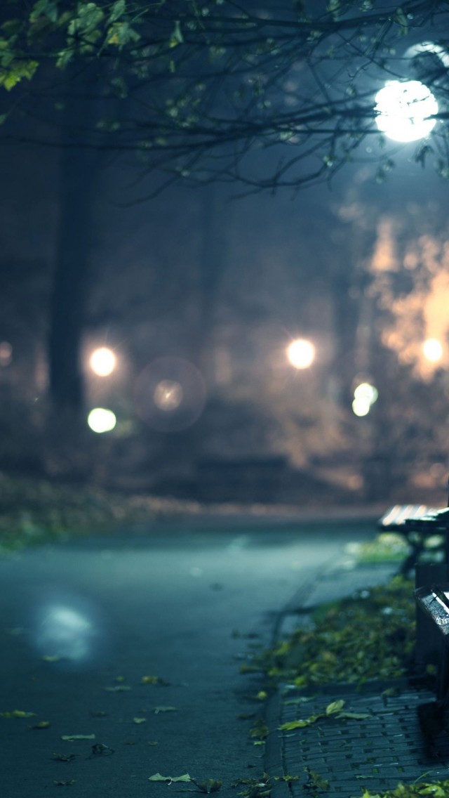 Bench Night Park Pathway Trees Wallpaper - 640x1136