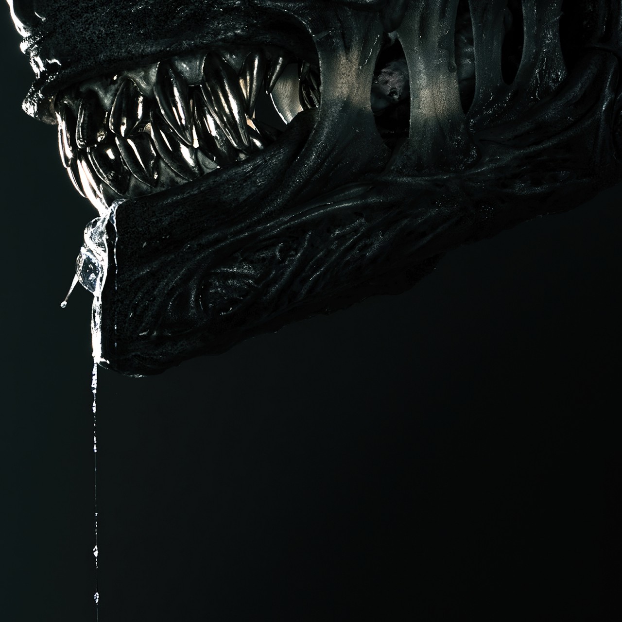 Alien Romulus Xenomorph Movie Wallpaper - 1280x1280