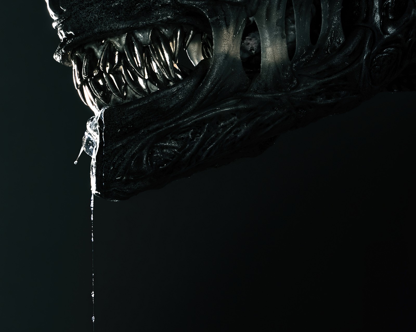 Alien Romulus Xenomorph Movie Wallpaper - 1600x1280