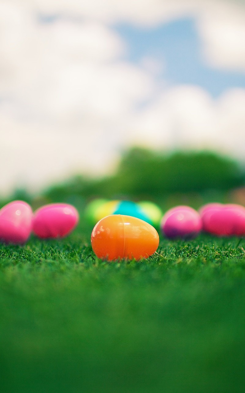 Easter Egg Hunt Wallpaper - 800x1280