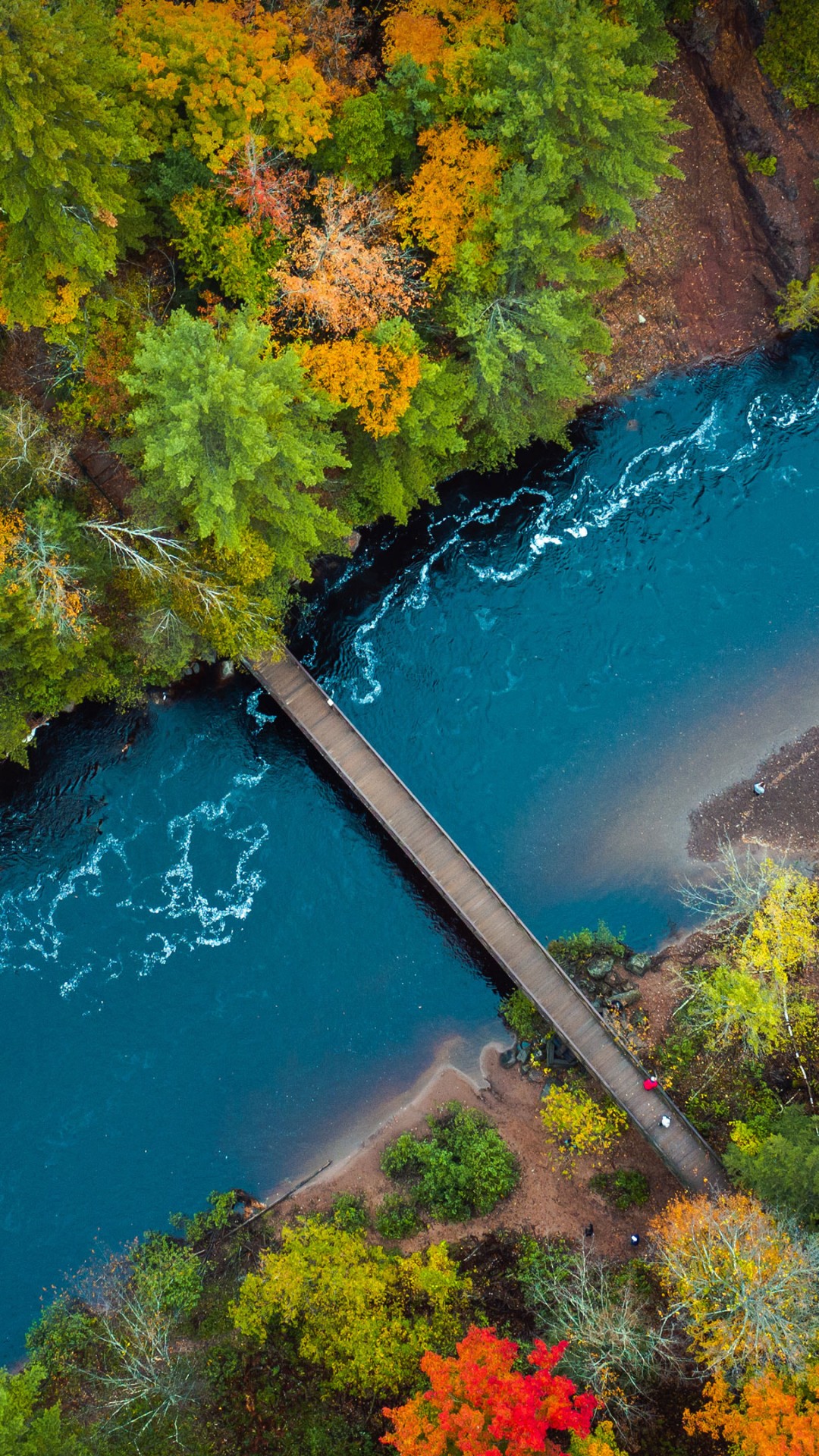 Forest Bad River Wisconsin USA Wallpaper - 1080x1920