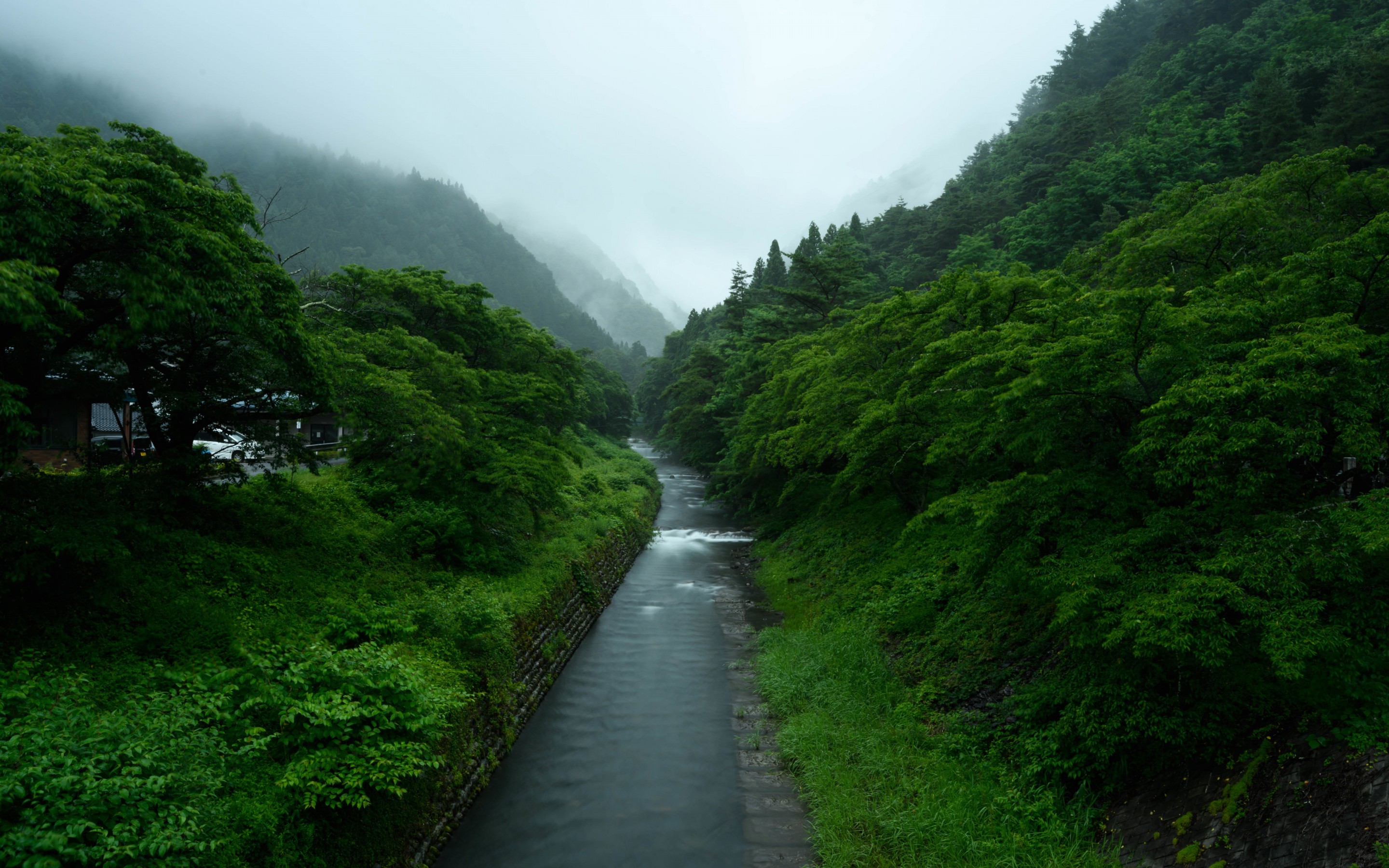 Japan Nature Forest Mountains Mist Wallpaper - 2880x1800