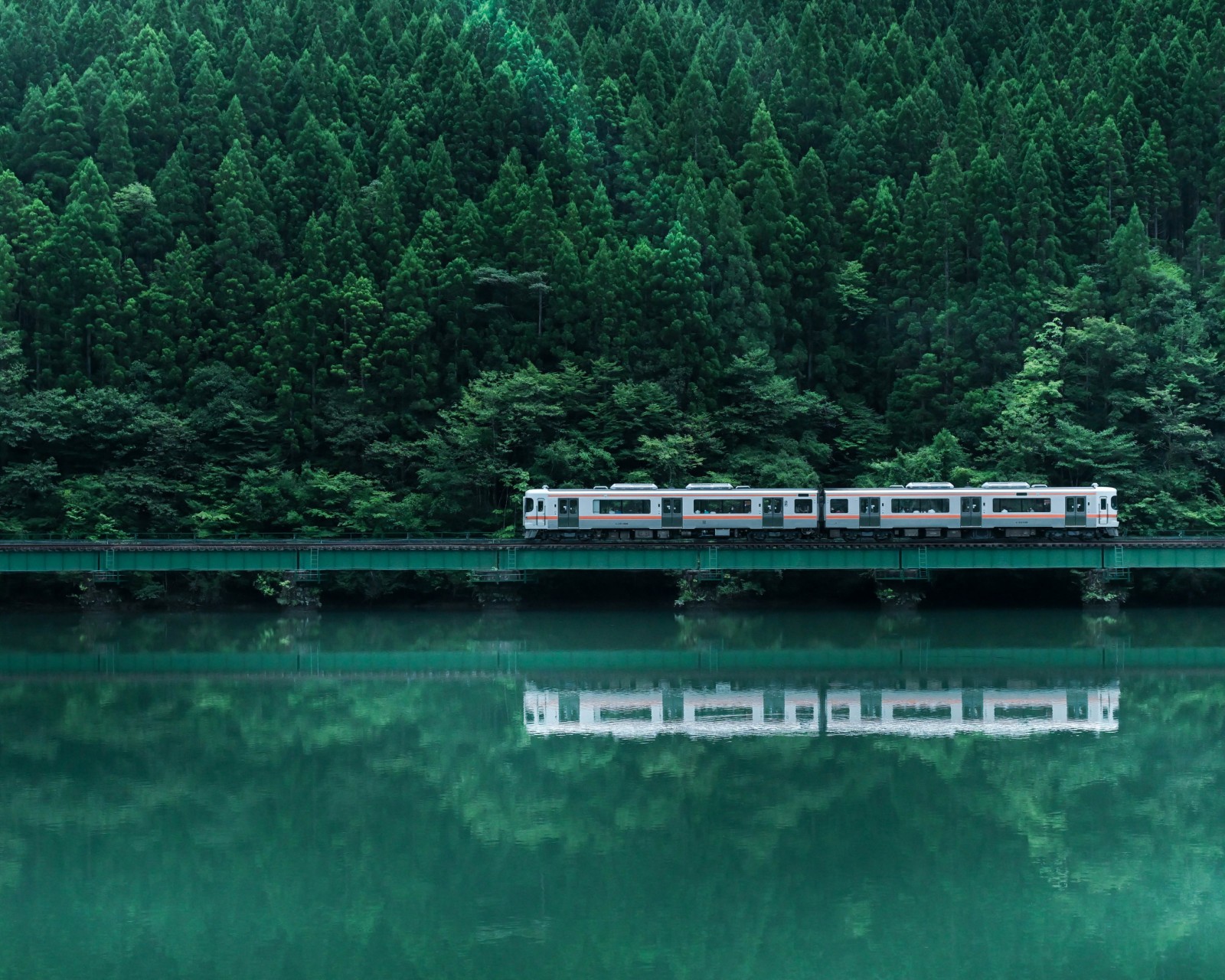 Bridge Train Trees Japan Forest Wallpaper - 1600x1280