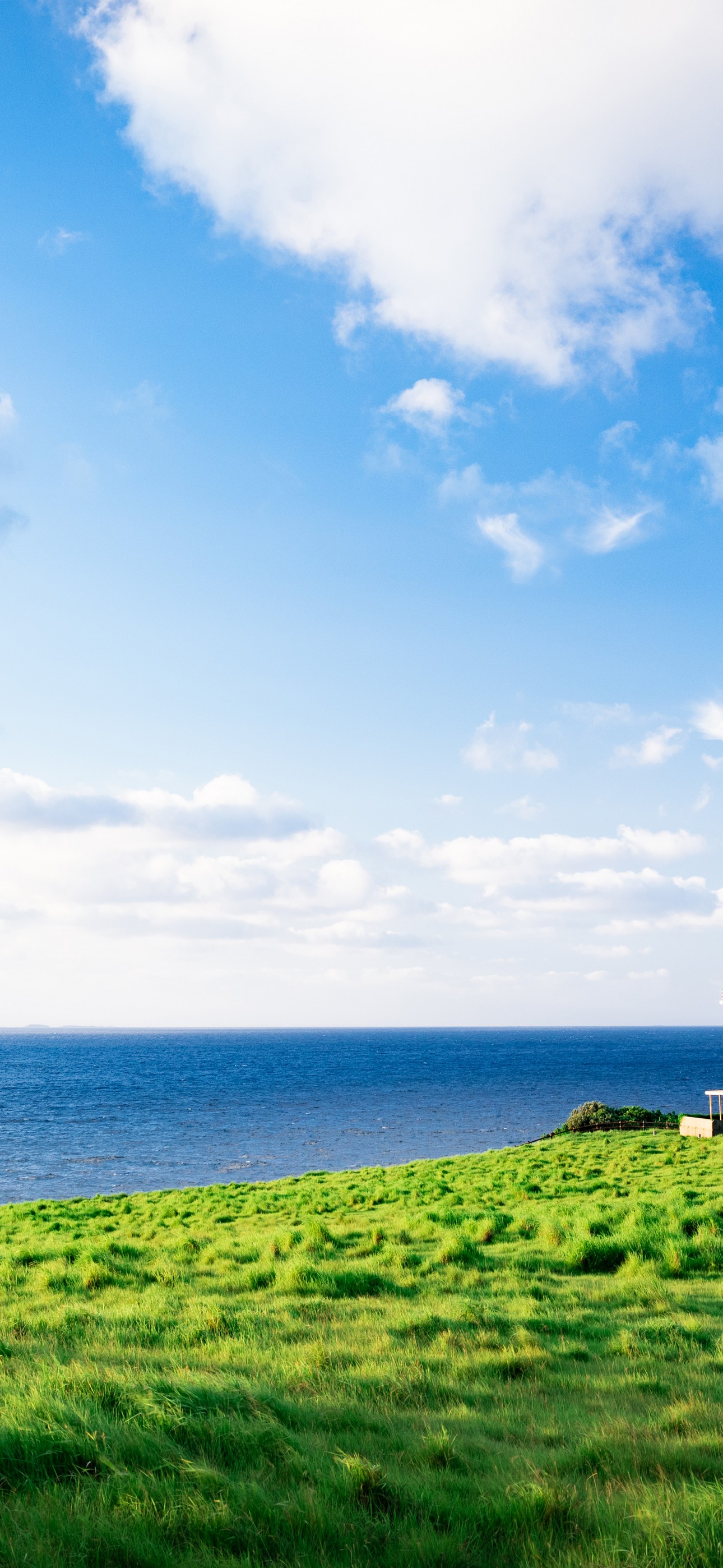 1290x2796 Nature Landscape Grass Field Lighthouse Wallpaper