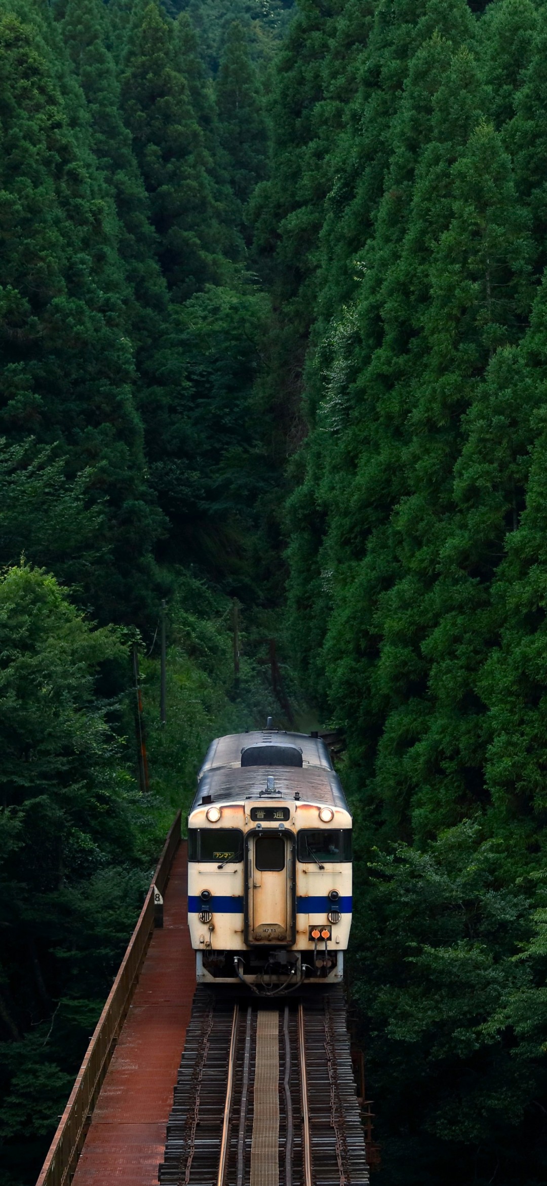Japan Train Rail Bridge Dense Forest Wallpaper - 1080x2340
