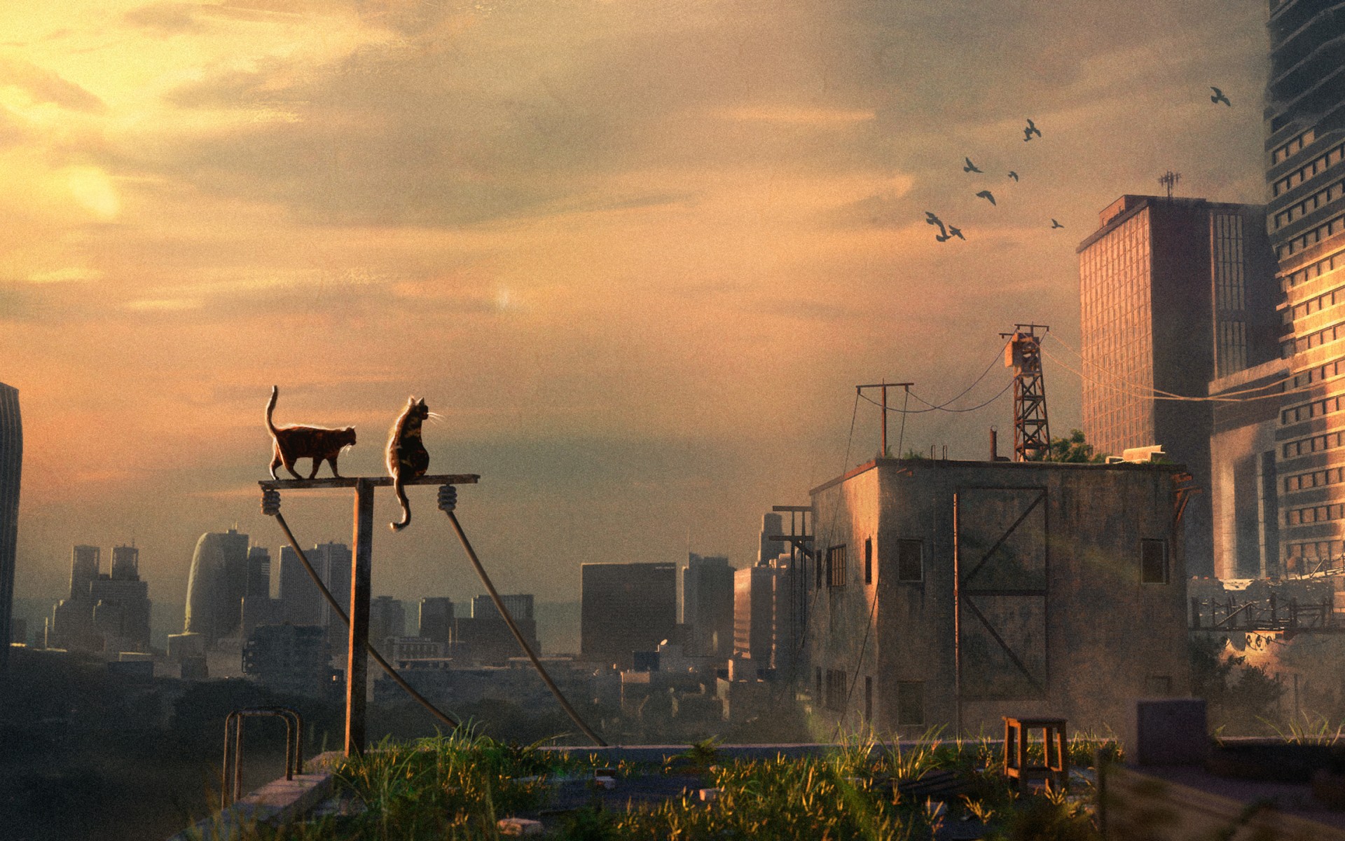 Cityscape Cats Sunset Illustration Wallpaper - 1920x1200 Resolution