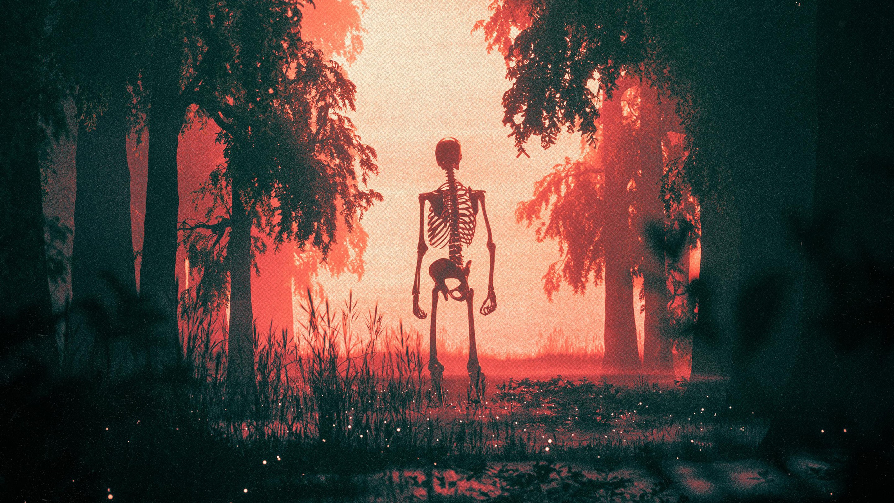 Forest Light Skeleton Art Wallpaper - 2880x1620