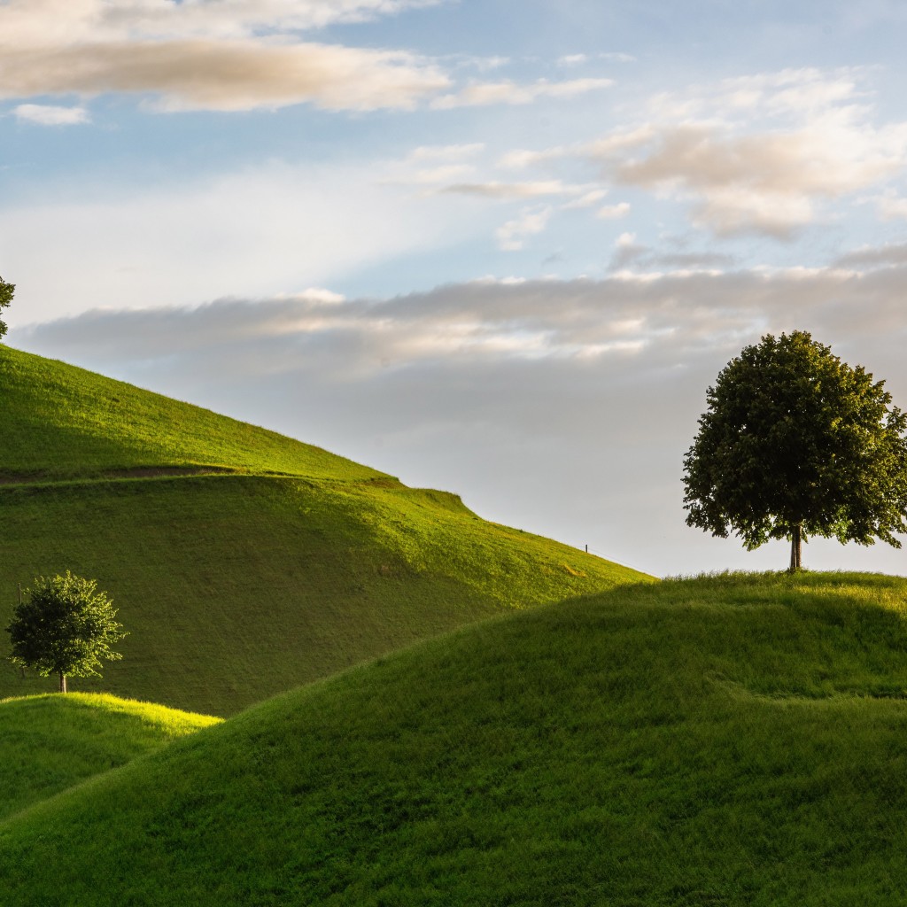 Nature Landscape Trees Hills Grass Wallpaper - 1024x1024