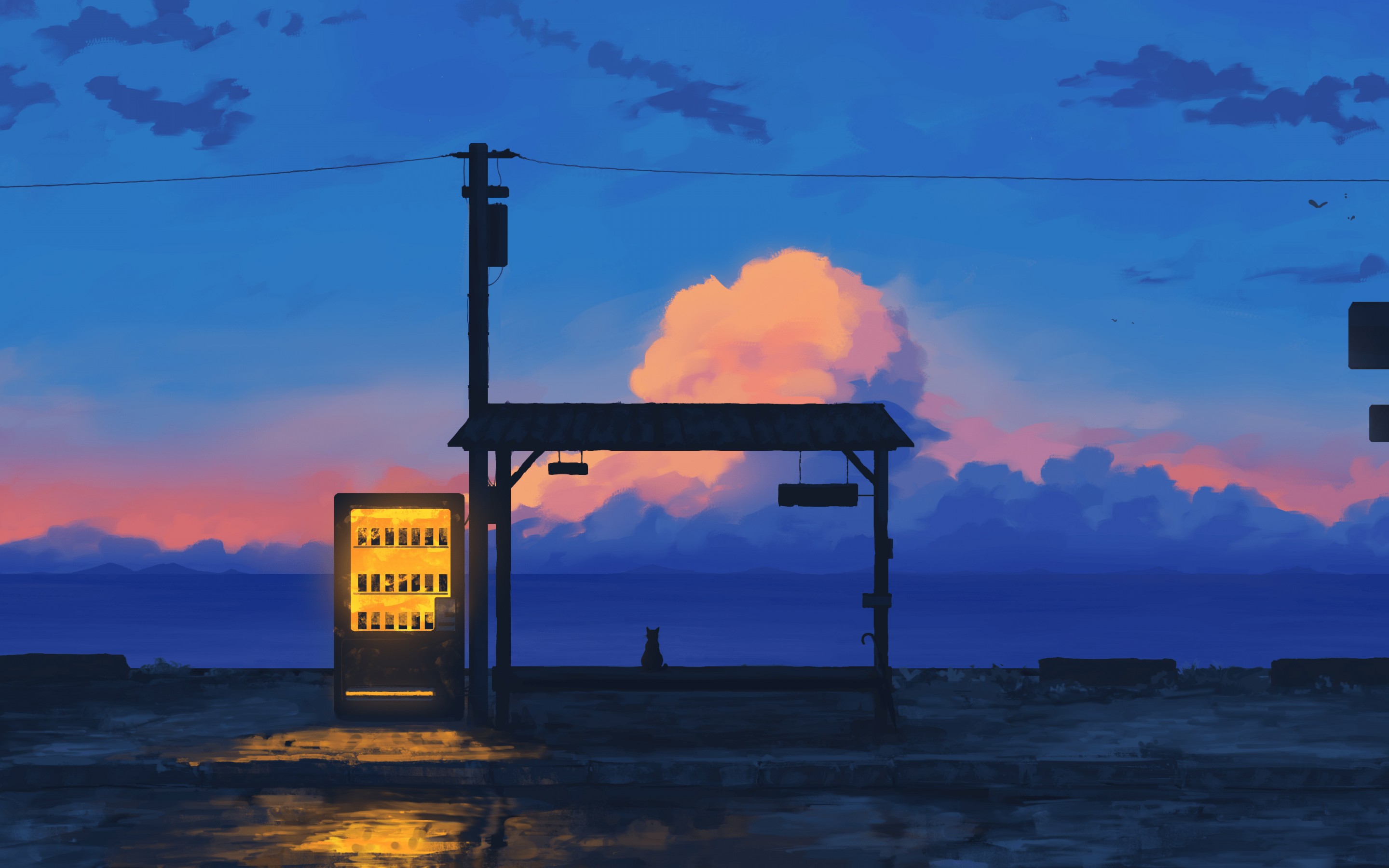 Blue Sky Sunset Black Cat Scenery Wallpaper - 2880x1800