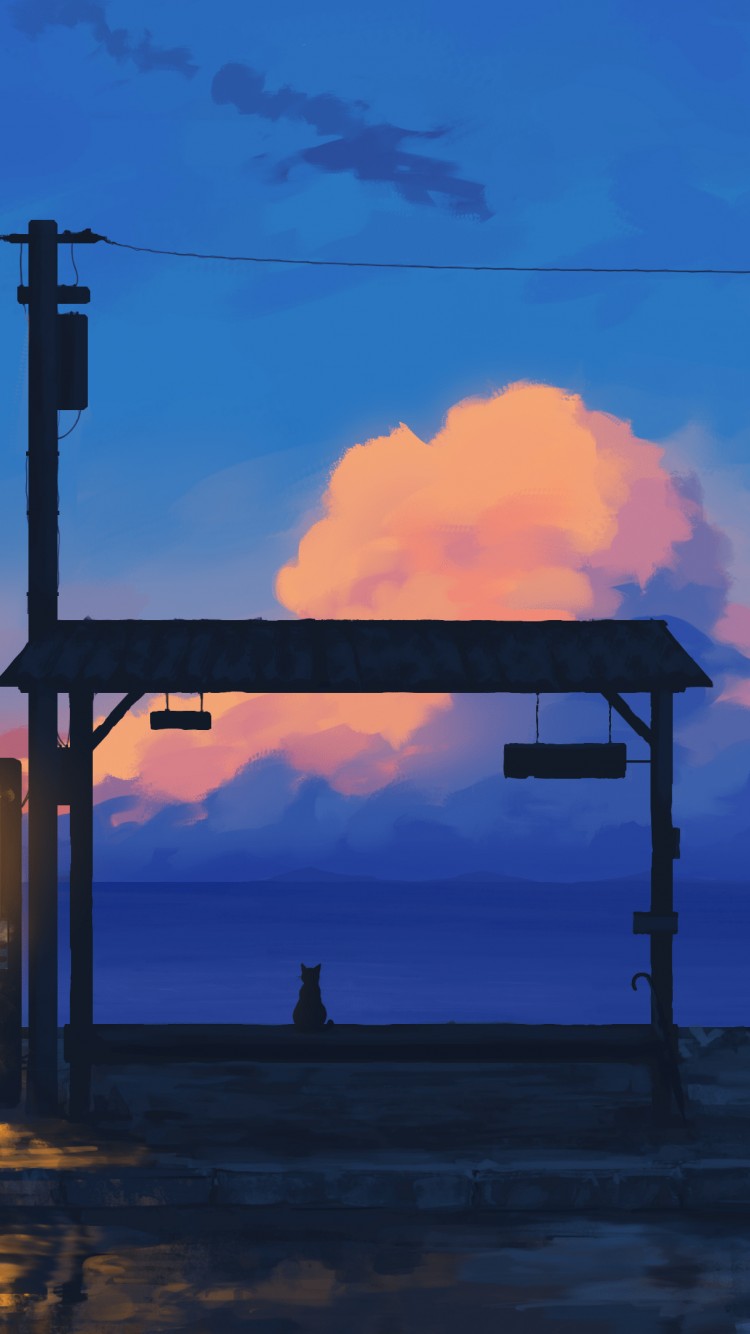 Blue Sky Sunset Black Cat Scenery Wallpaper - 750x1334